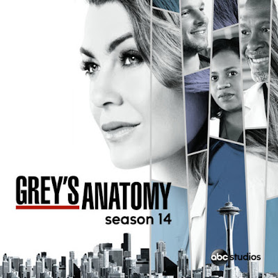 SERIES EN DVD: GREY'S ANATOMY