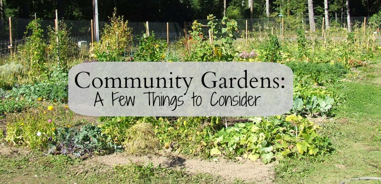 Livin' In The Green: Community Gardens: A Few Things to Consider