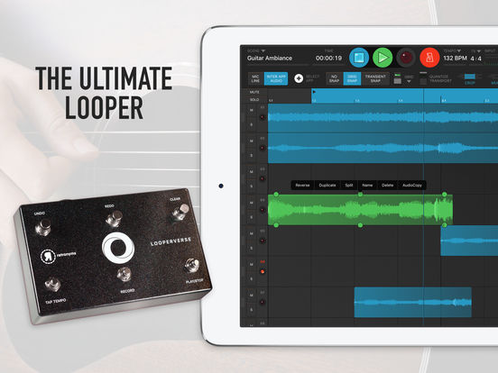 Retronyms released Looperverse Multitrack Loop Recorder for iPhone/iPad ...