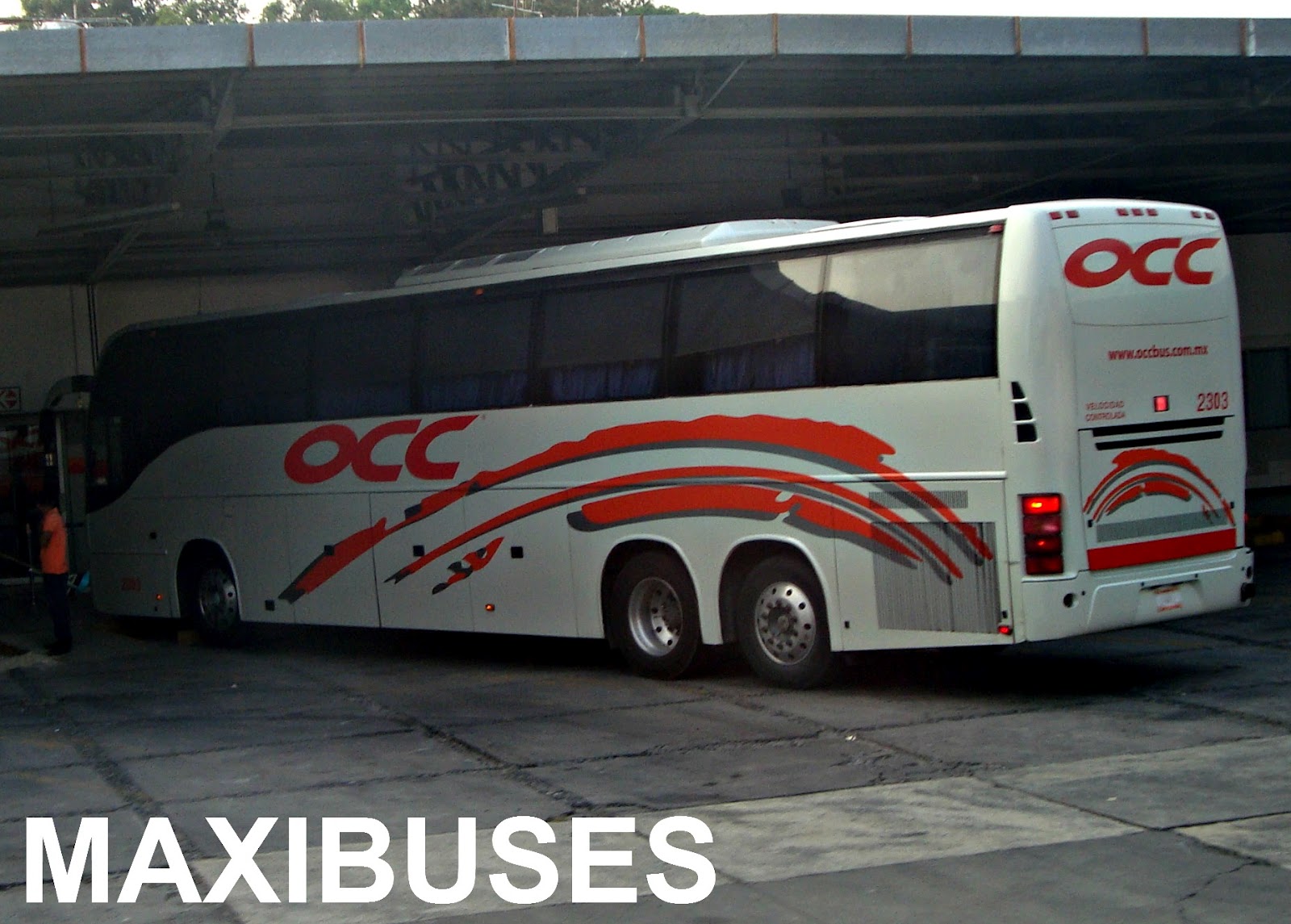 MAXIBUSES: OMNIBUS CRISTOBAL COLÓN