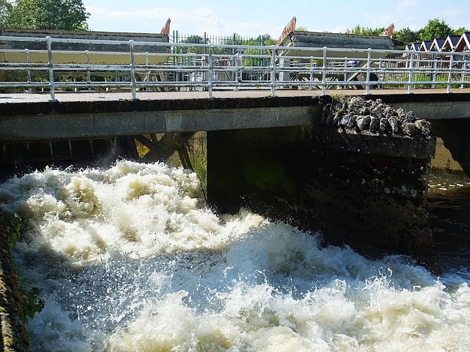 My Photos: Yalding & River Medway;Saturday 11th May 2019