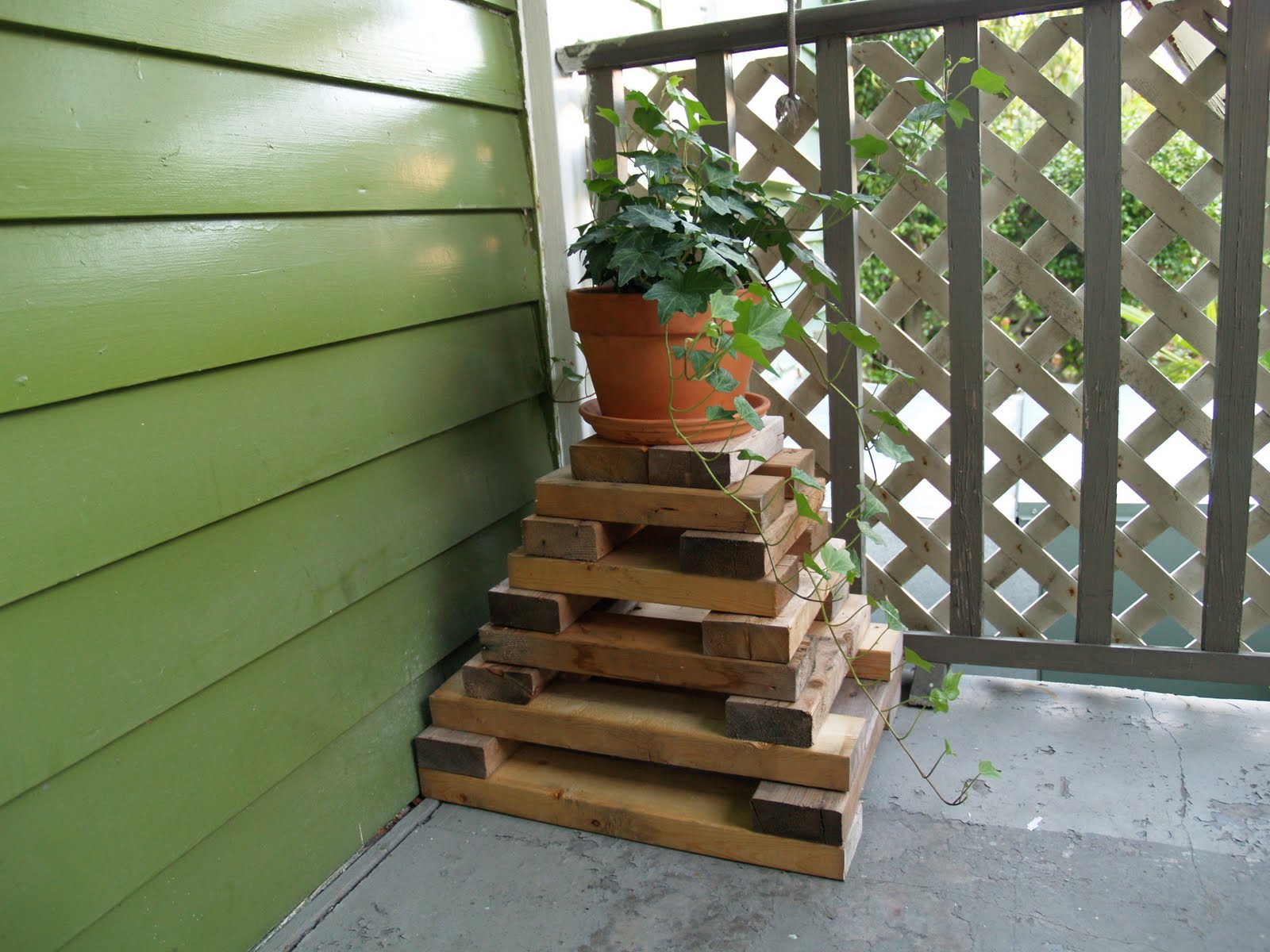 Greg Patch: Growing Green with Pyramid