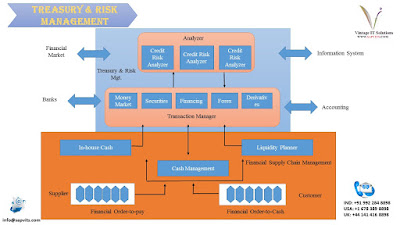 Overview of SAP Treasury and Risk Management