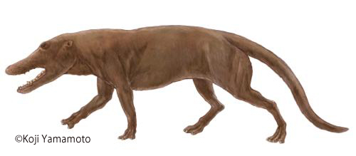 「Extinct Creatures」: パキケトゥス Pakicetus