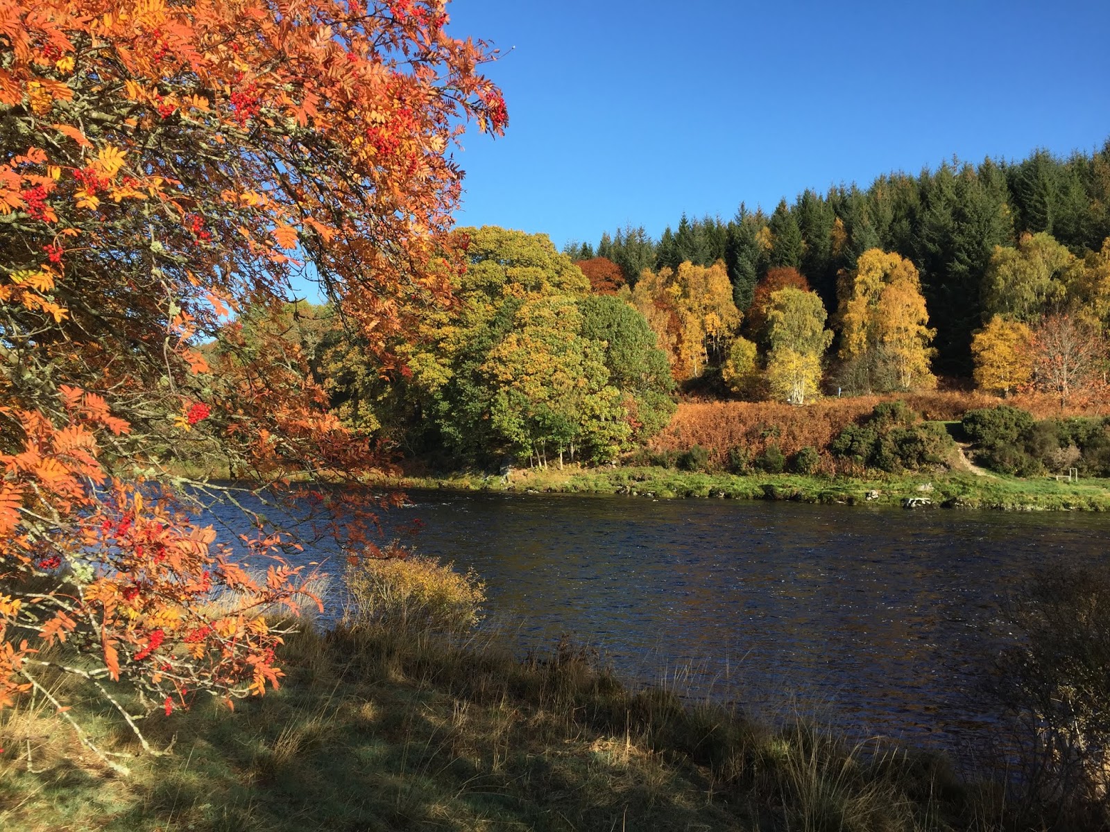 Dee & Don Salmon Fishing: River Dee Closing Day 2018