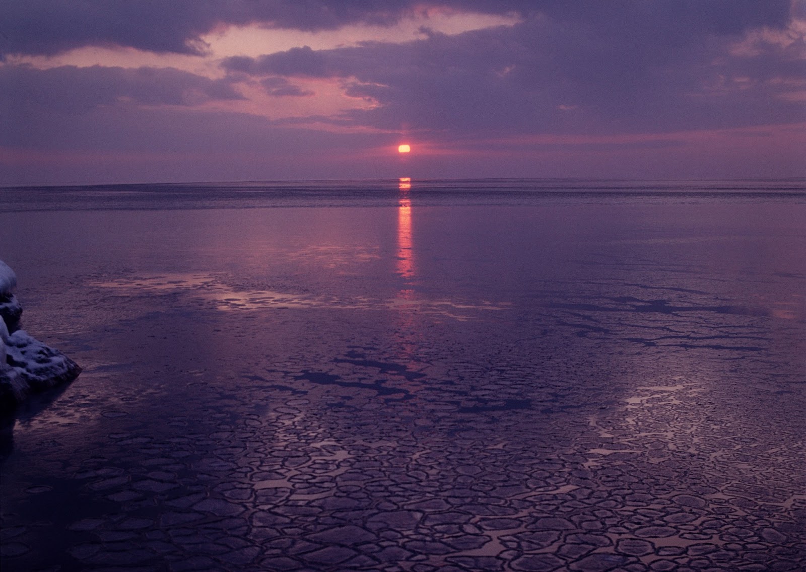 Our Beautiful World: Four season landscape