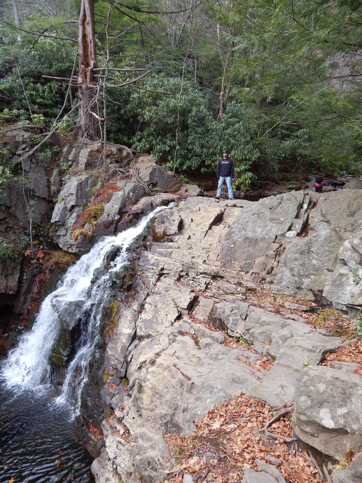 Those Who Wander: Hawk Falls Trail