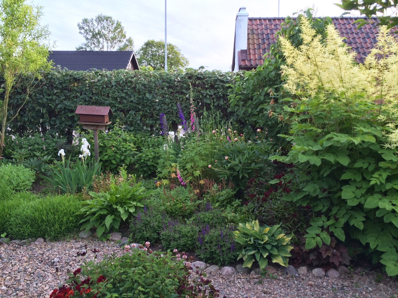 Malin in the Garden: Perennrabatter