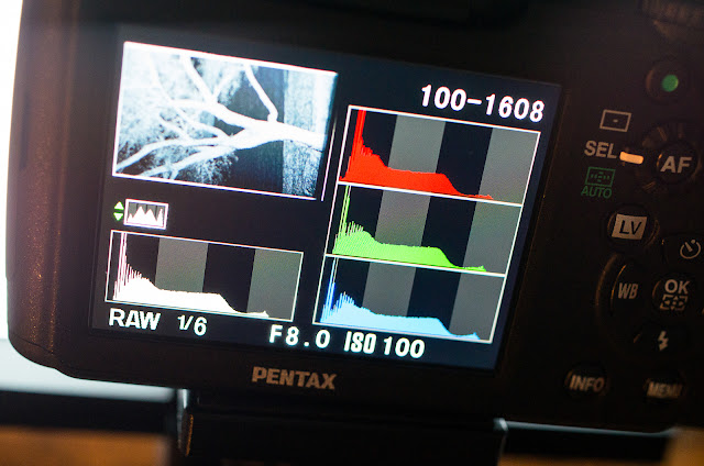 Matt's Photography Tips: Scanning Film With A Digital Camera