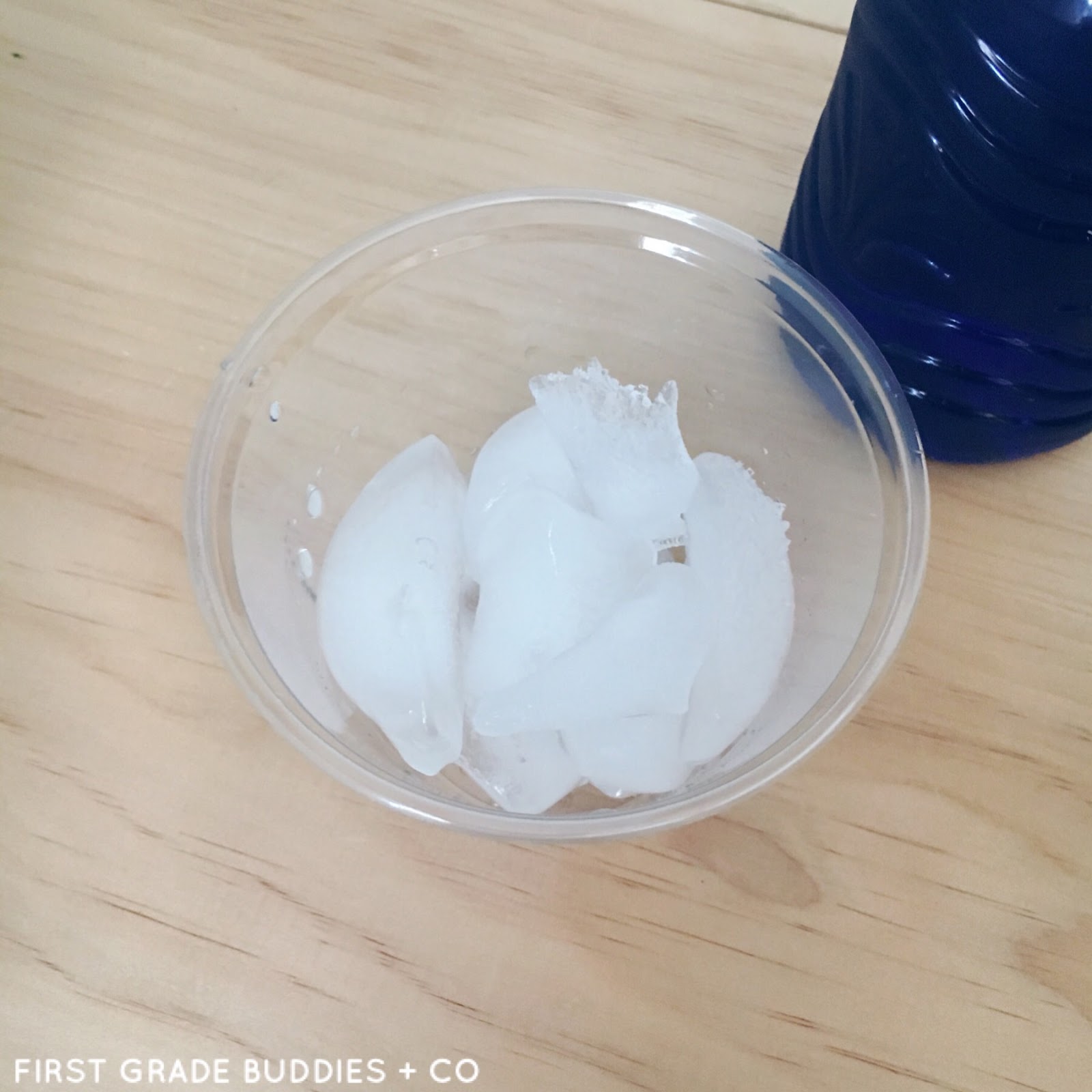 Simple Science: Making Ice Grow | First Grade Buddies