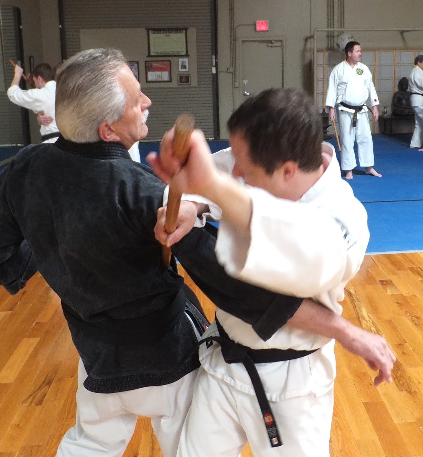 Hanbo - weapon of self-defense