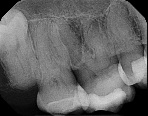 Weird dentistry - Bauer Smiles
