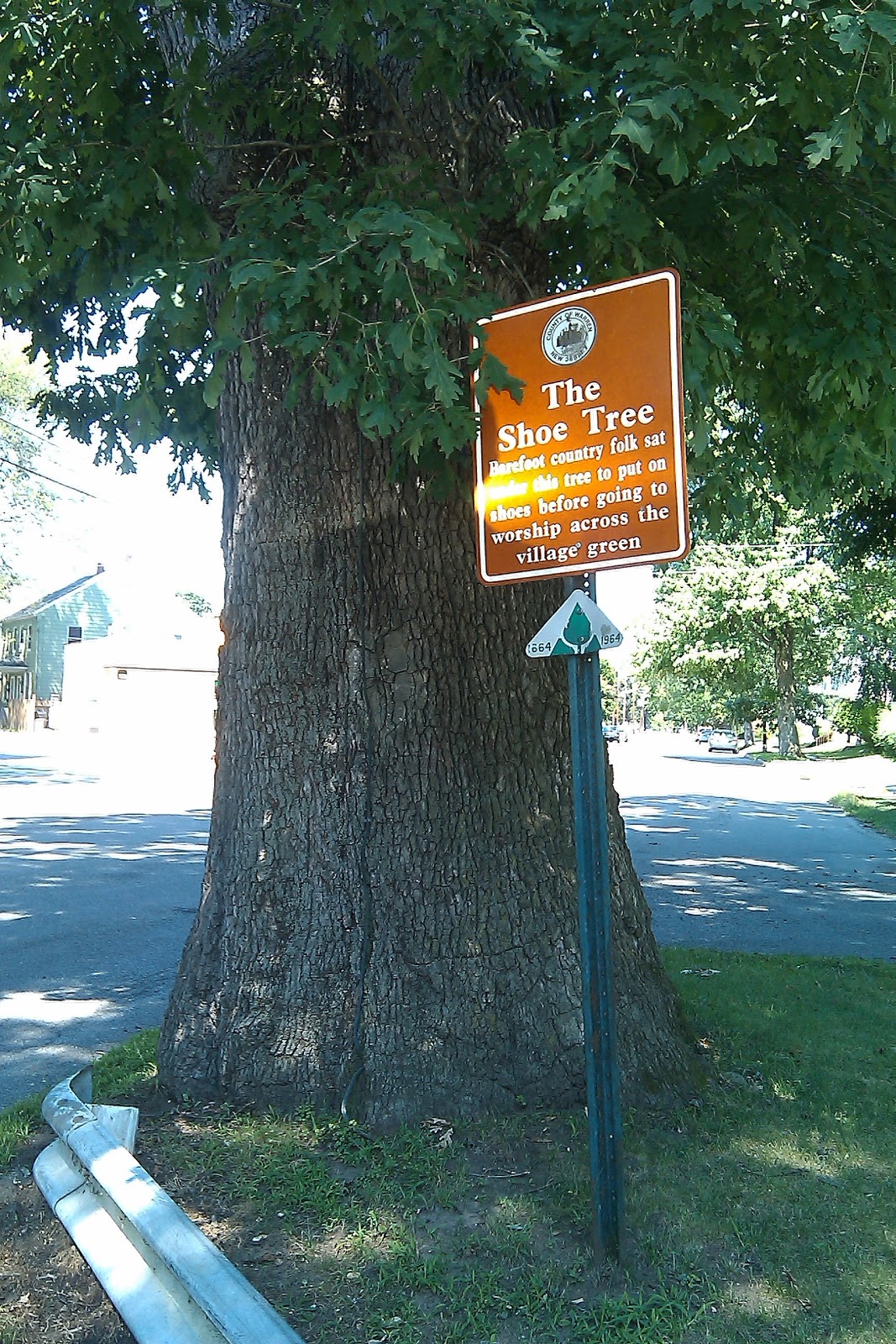 Hidden New Jersey: Visiting Belvidere's Shoe Tree (not that kind)