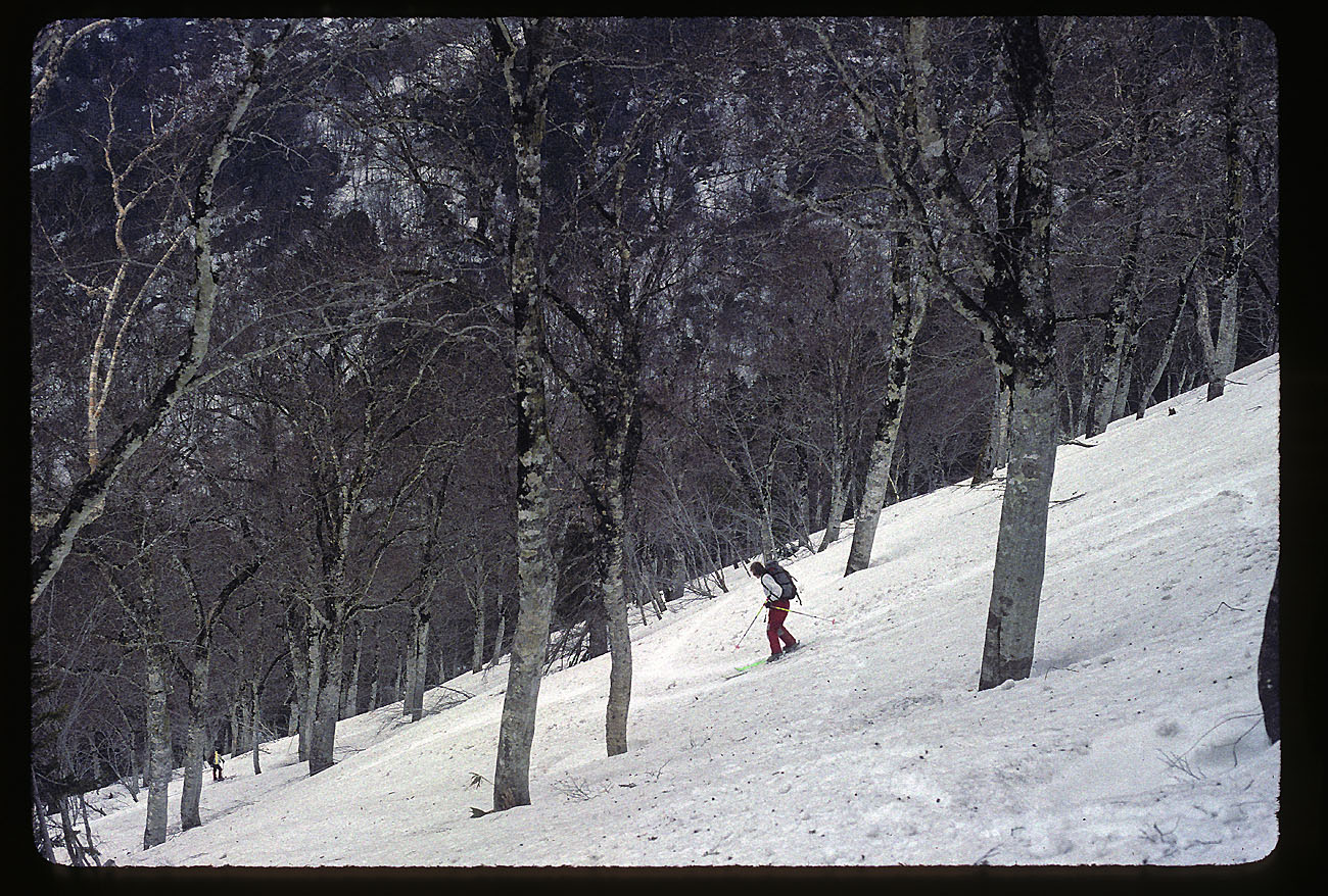 mountain-landscape: The seasons of Shibutsu