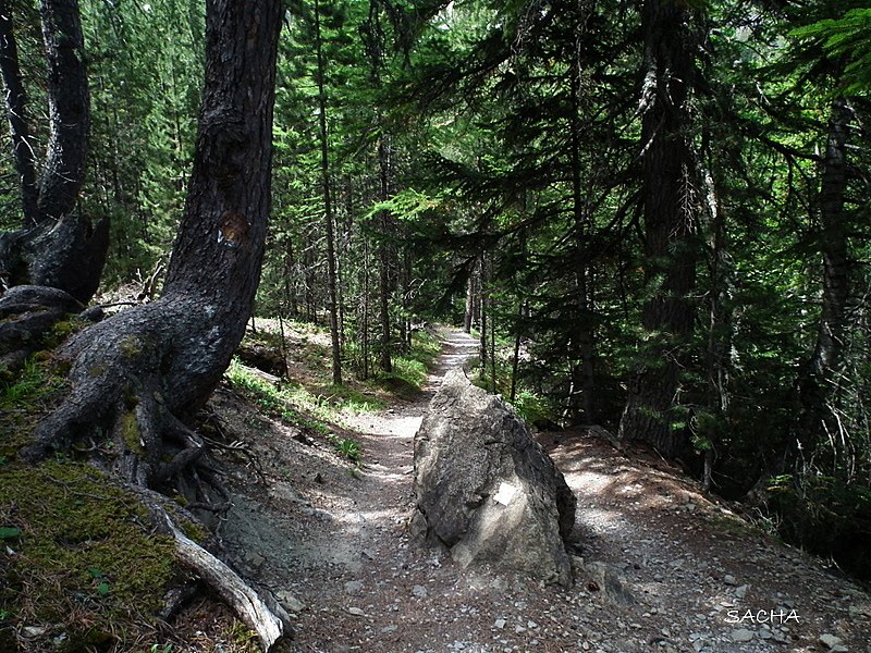 Un jour....Une photo !: Cheminer ensemble vers les sommets .....Mt Lozère