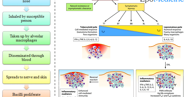 Indigenously developed Leprosy vaccine