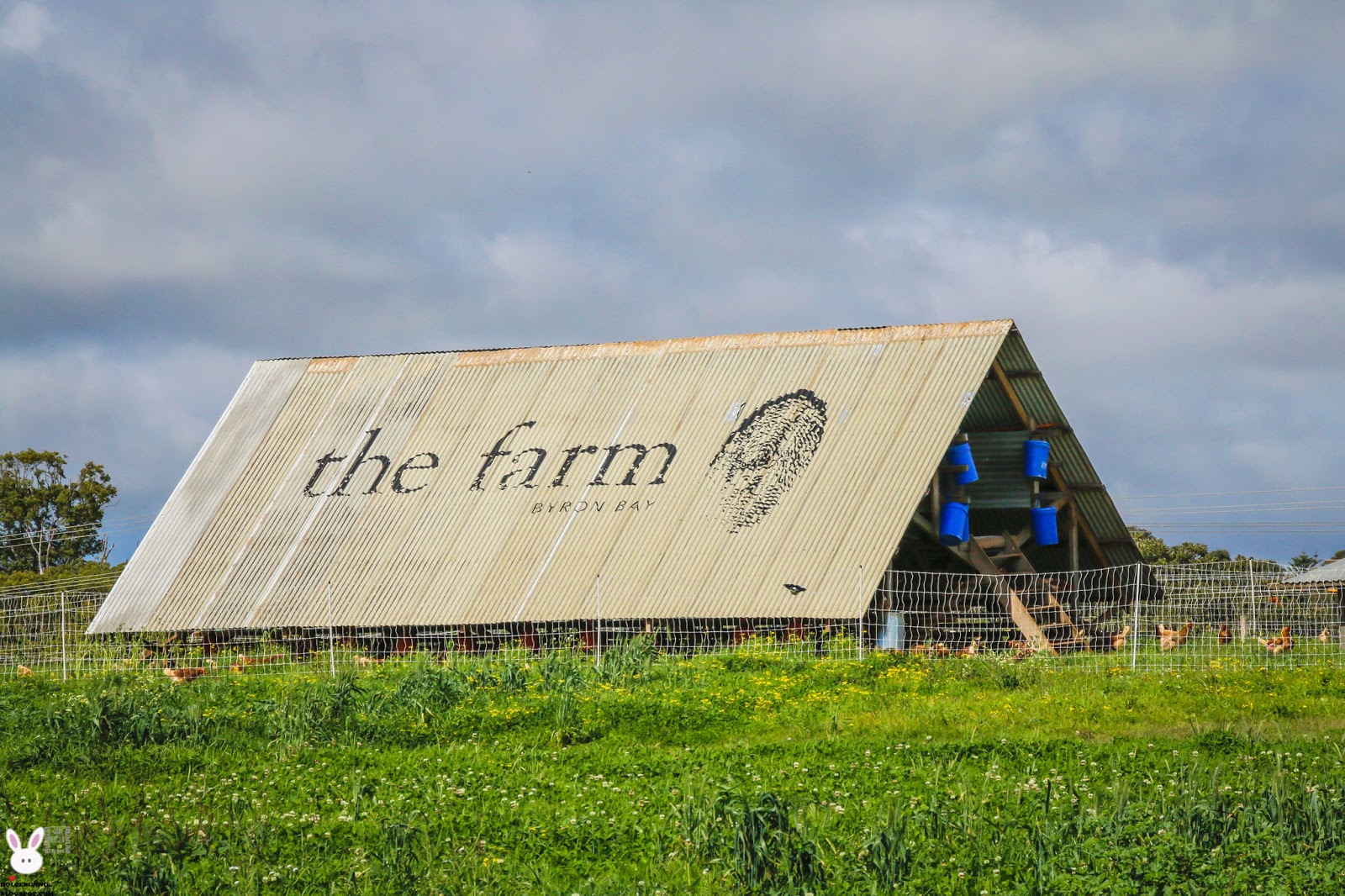 The Farm Byron Bay + Three Blue Ducks | DolceBunnie