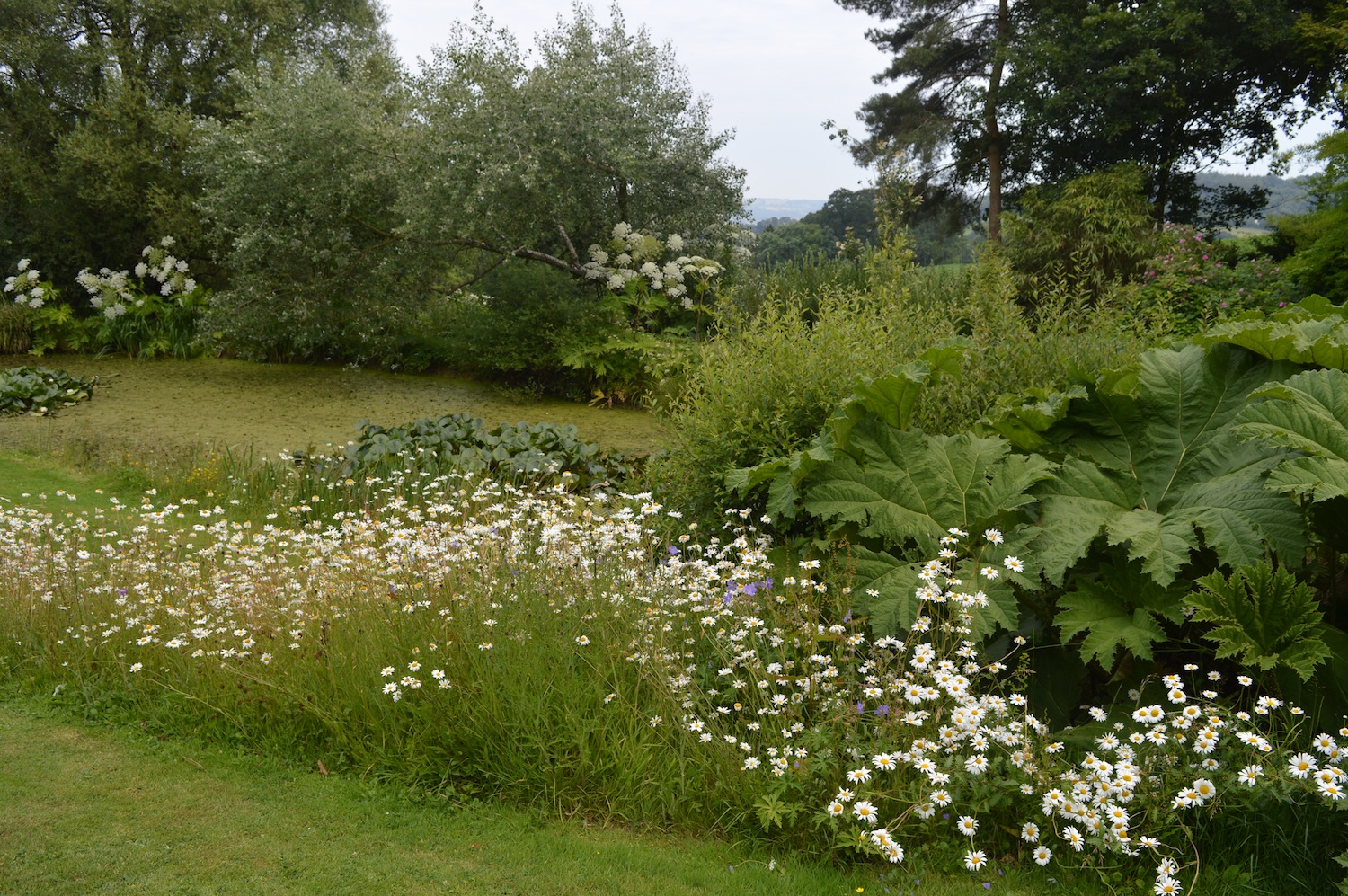 Noel's Garden Blog: Is Naturalistic Planting almost Mainstream now?