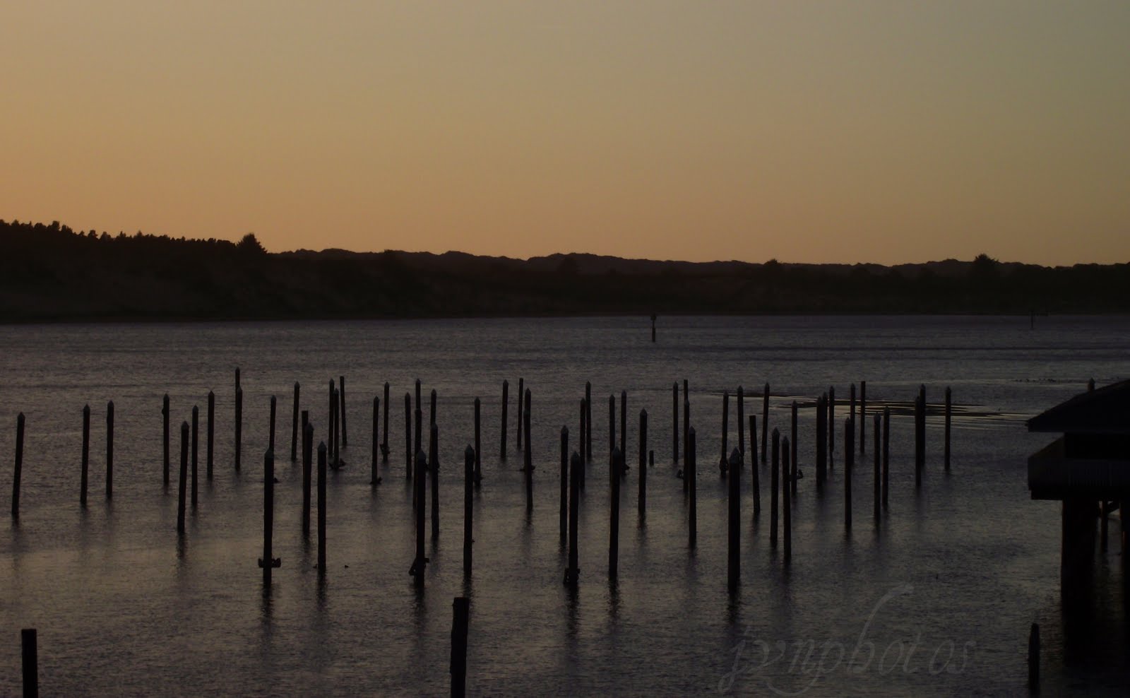 Photos by Jan: Triangle Lake, Oregon and Further Adventures