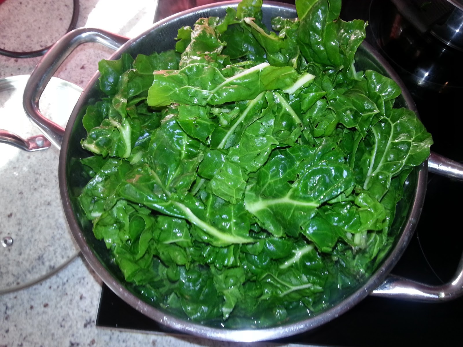 Super Silverbeet ~ A Canberra Vegie Garden