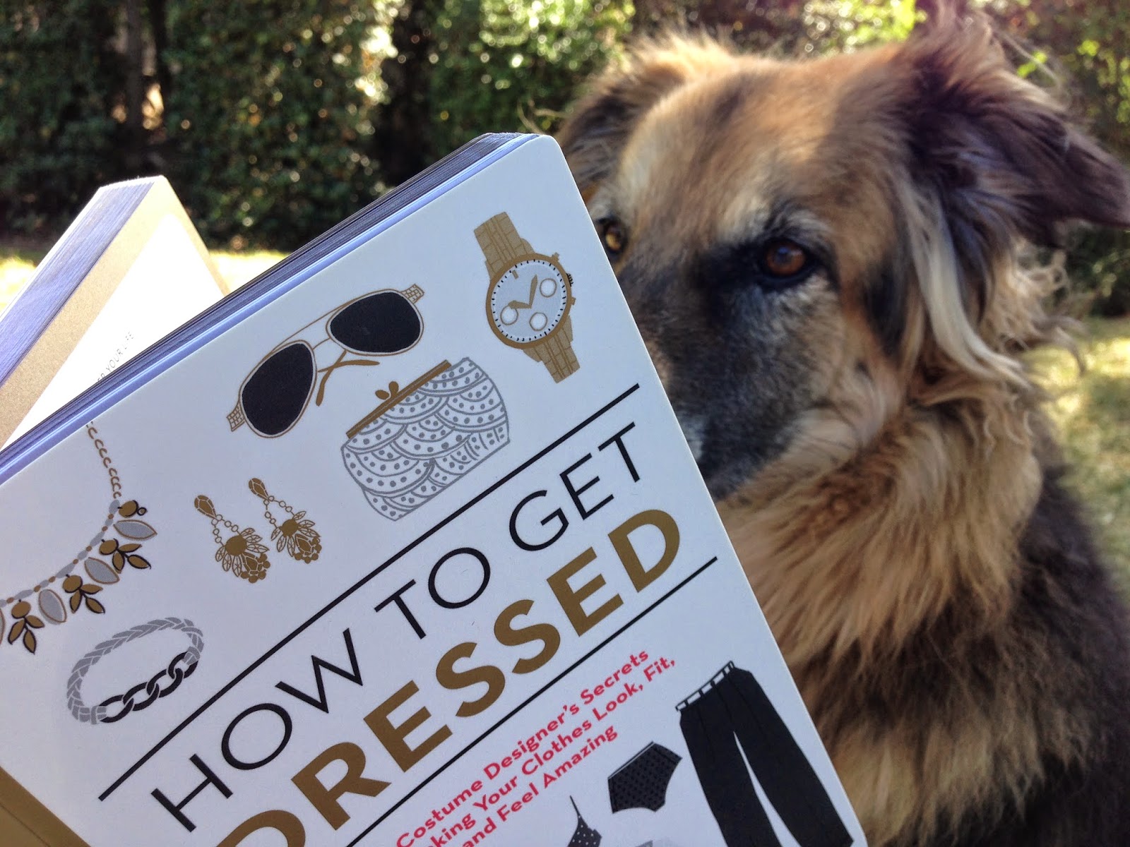 Alison Freer's Incredible How To Get Dressed Book is So Helpful!