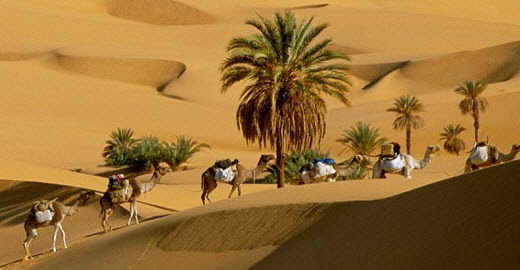 Awjila - the sands compassionate