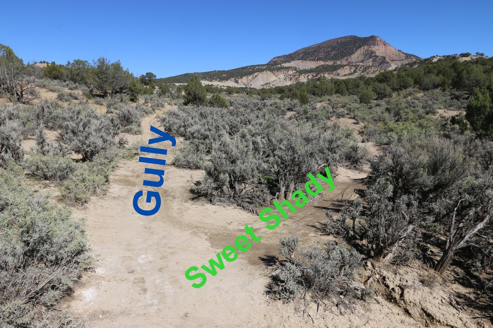 gjhikes.com: Gully