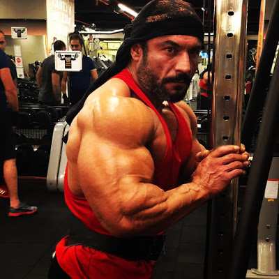 world bodybuilders pictures: turkey boydbuilder Mahmut Irmak