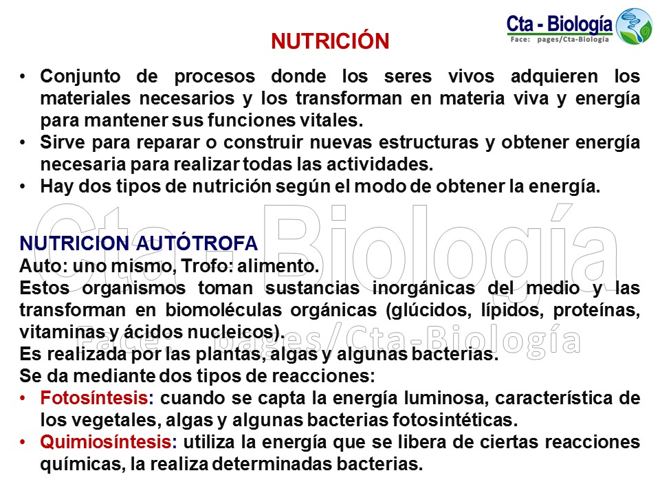 Biología didáctica: NSC 4° - Nutrición Autótrofa