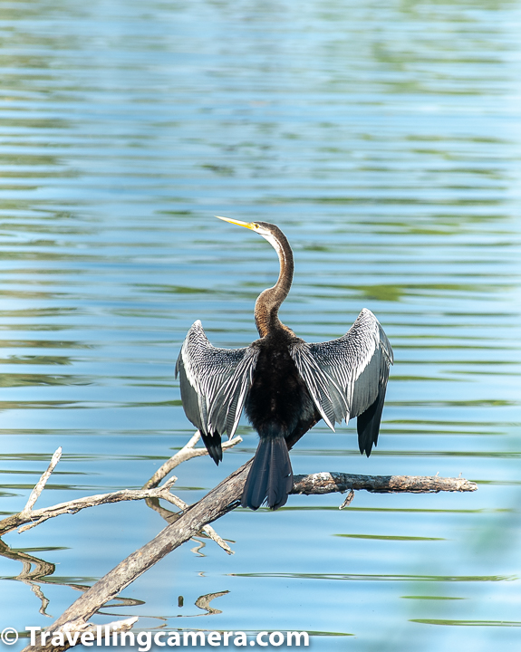 One day Road-Trip to Bharatpur Birds Sanctuary from Delhi : Winters Special
