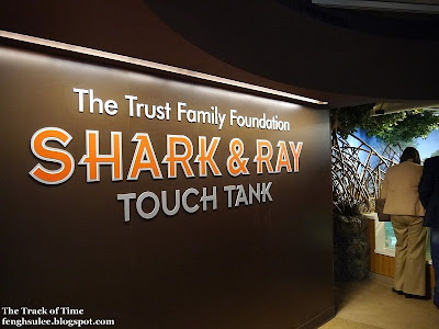 New England Aquarium - Touch Tank | The Track of Time