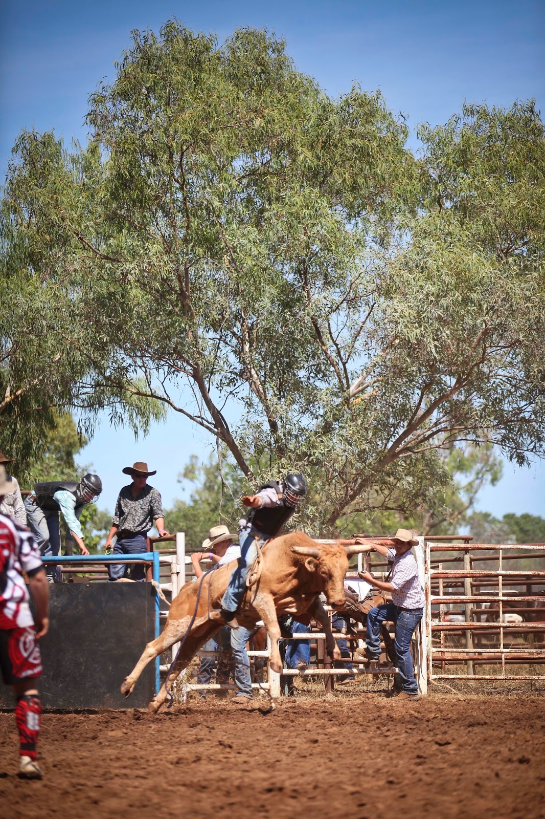 Clancy Job Photography: Rodeo & Camp Draft, Daly Waters NT 2014