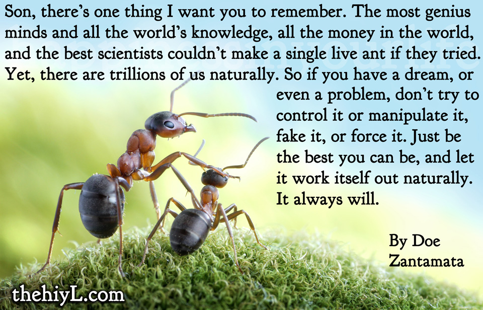 Wisdom of the Ants