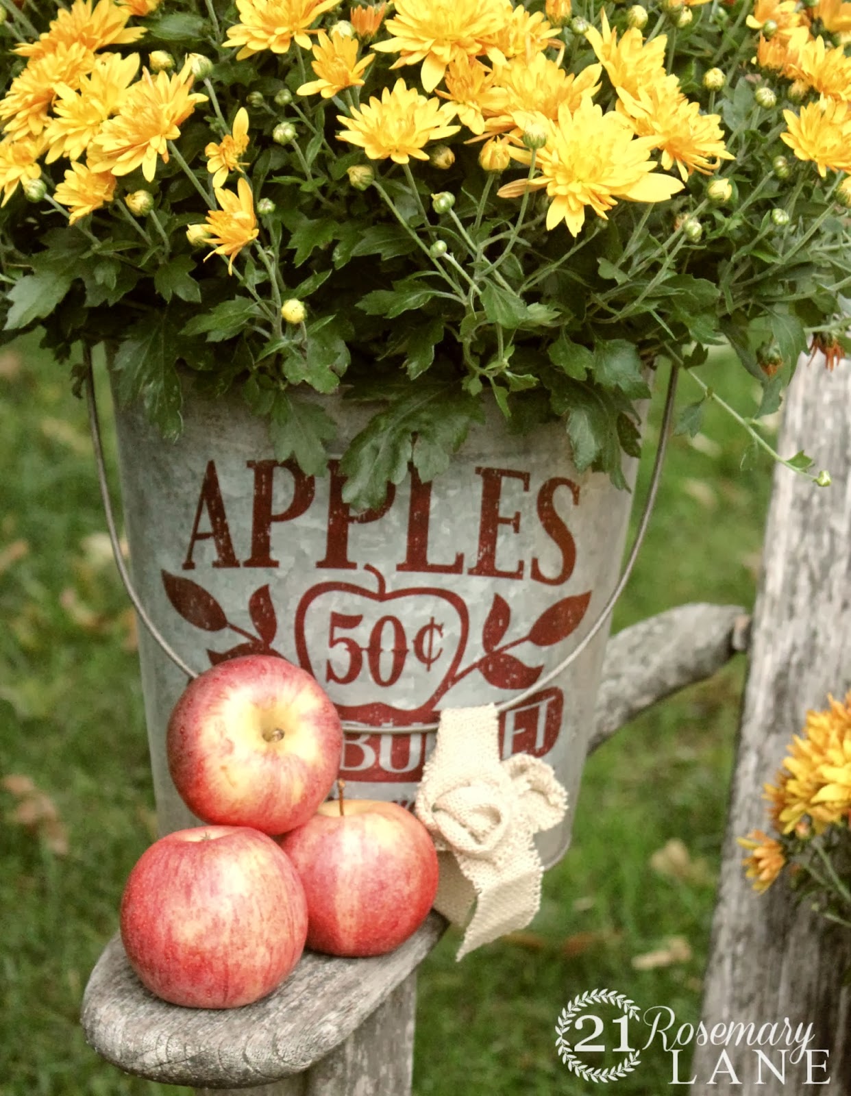 21 Rosemary Lane: ...apples 50 cents a BUCKET (two galvanized buckets ...