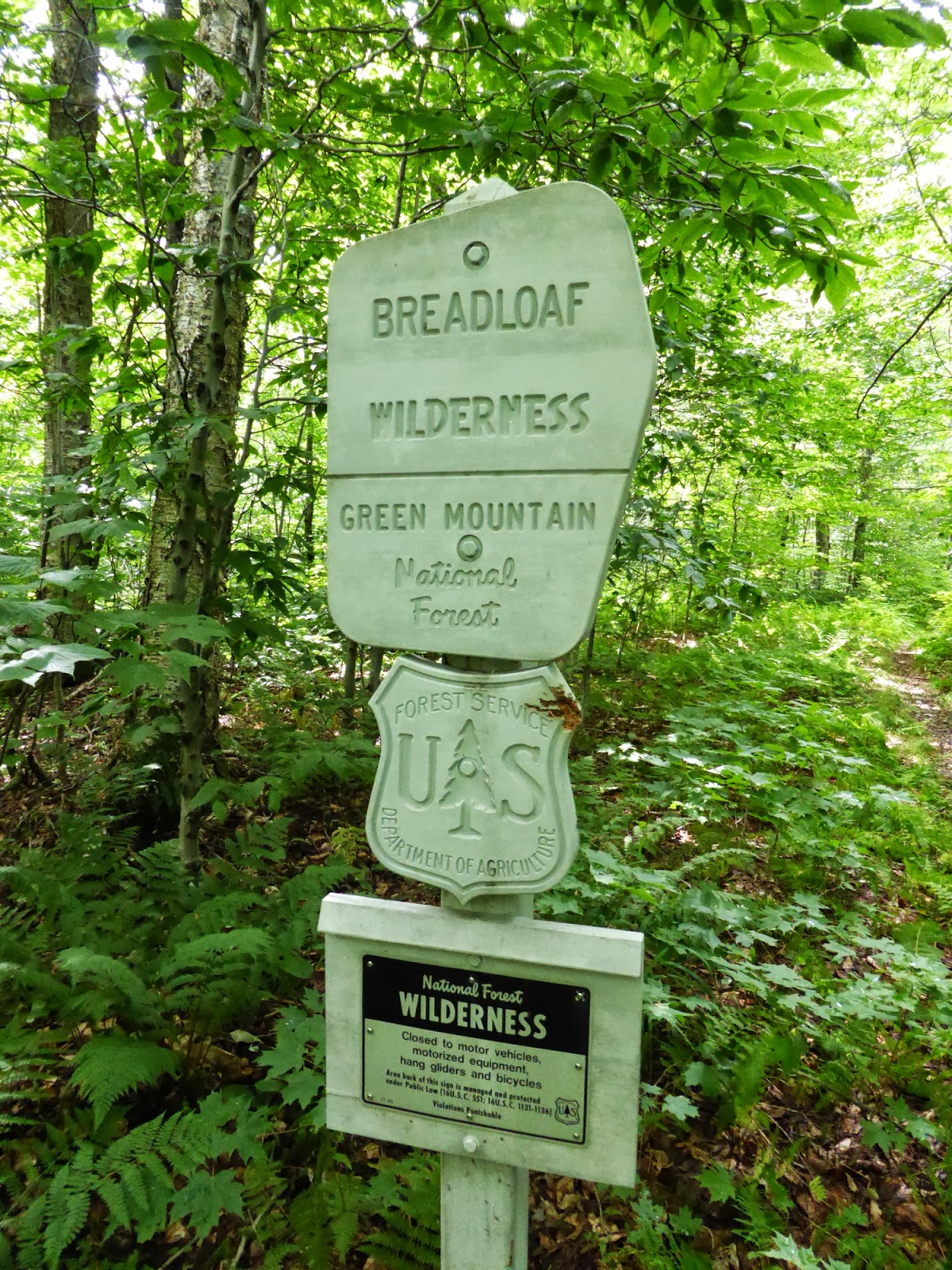Matt's Hikes: Wilson and Breadloaf - July 20, 2013