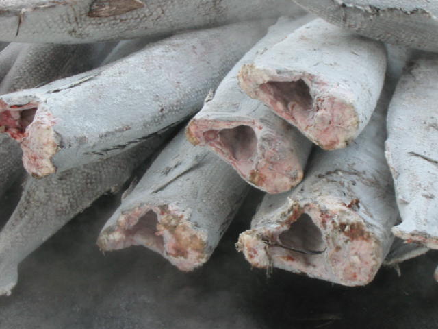 Han's kitchen: The Process Of Breaded OilFish Fillet