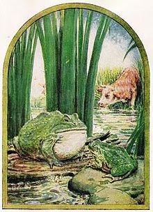 Mythology Blog: Story: The Fox and the Ox