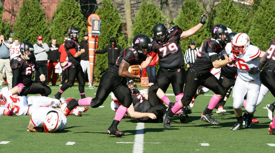 Lake Forest College Football Blog: November 2012