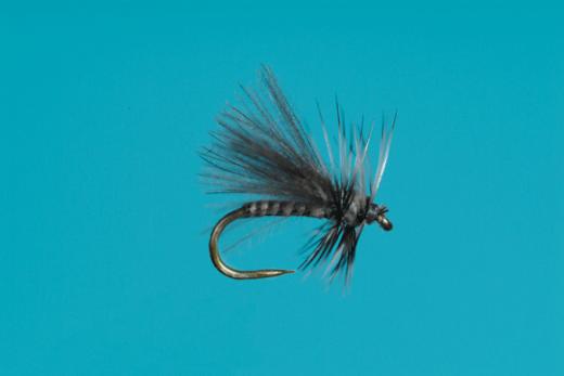 Black Hills Fly Fishing: Winter Midge Hatches have Begun