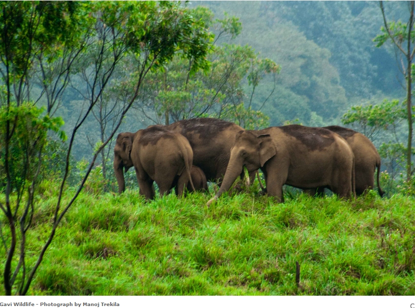 GAVI ECO TOURISM | Kerala Tourism