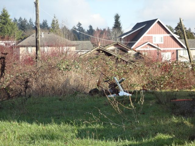 The Orchard Garden: SFU SEEDS PDP Module visit to Musqueam and the UBC ...