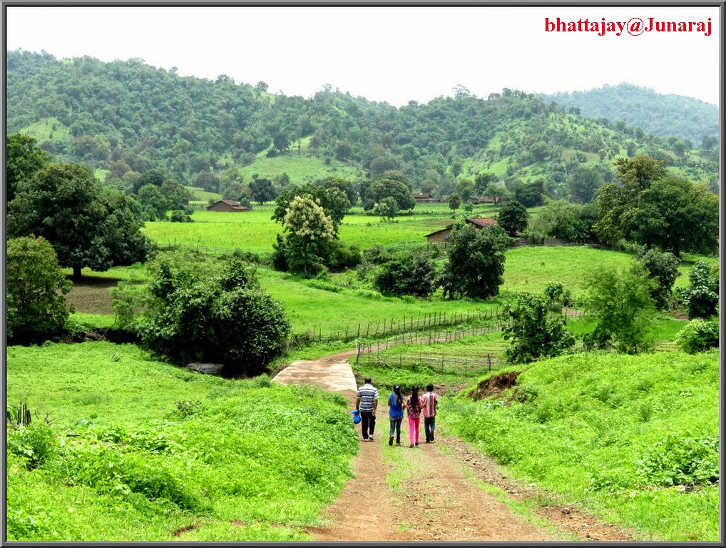 Vadodara Nature & Adventure Club - Nature & Adventure Explorers ...