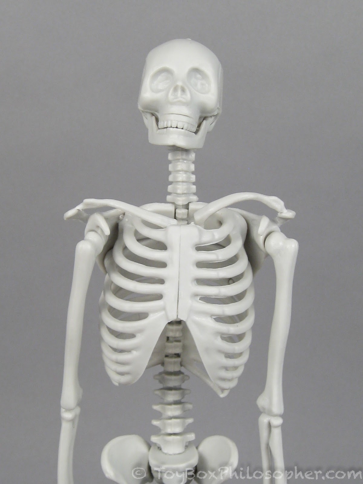 Our Generation Science Accessories | The Toy Box Philosopher