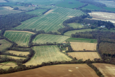 Habitat Fragmentation: Causes