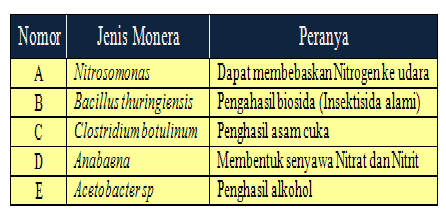 RPP Biologi SMA: Soal Ujian Nasional BiologiTahun 2008