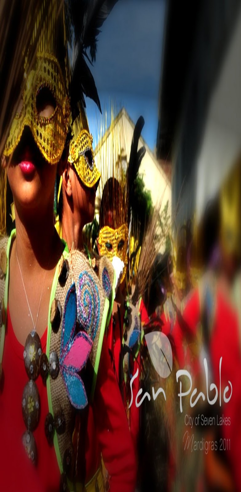 San Pablo City : Coconut: Project Description