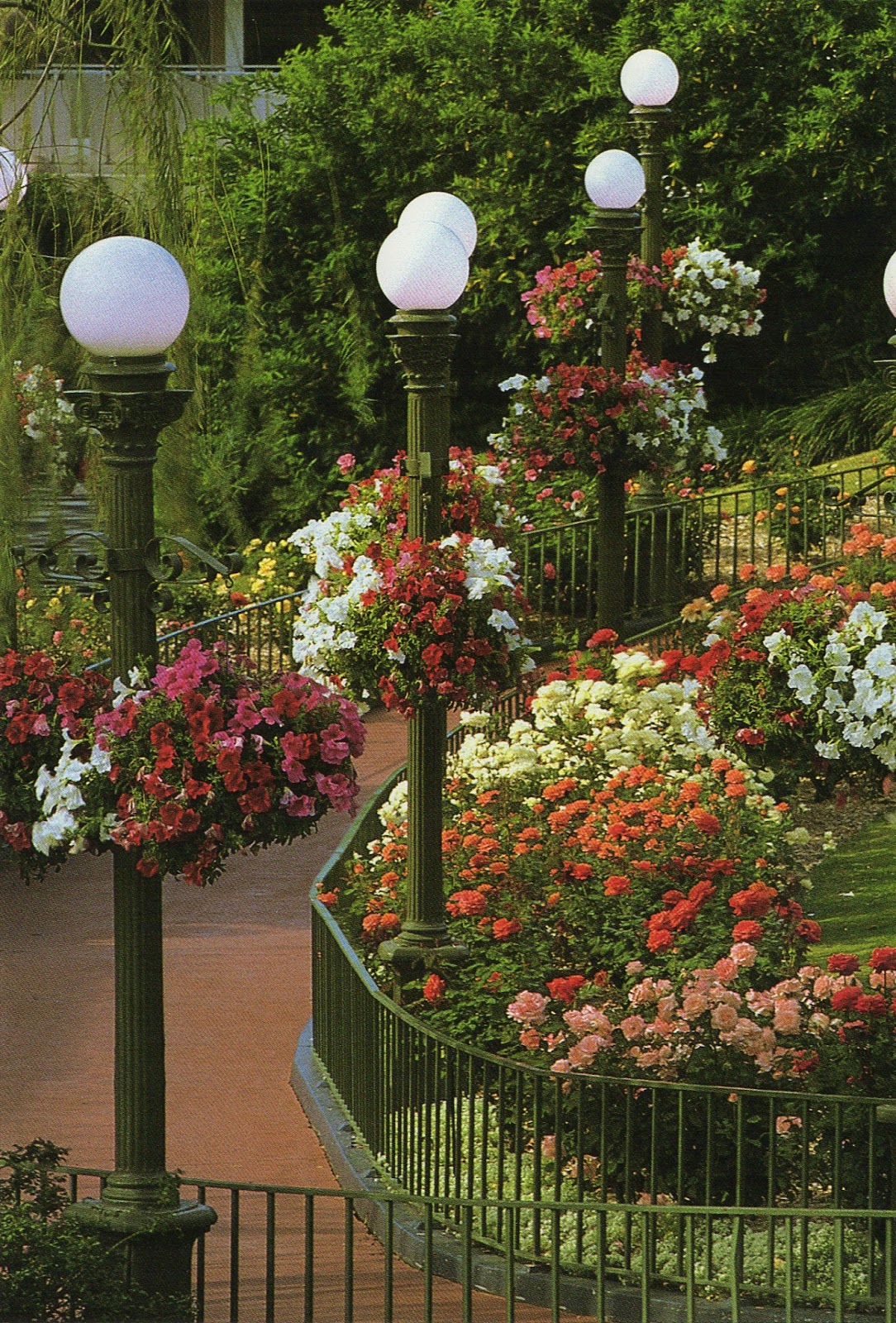 Disney Avenue: 94 BEAUTIFUL Photos of Walt Disney World's Magical Gardens