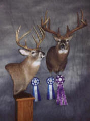 Bones n' Broadheads: Interview Series - Rick Whitaker