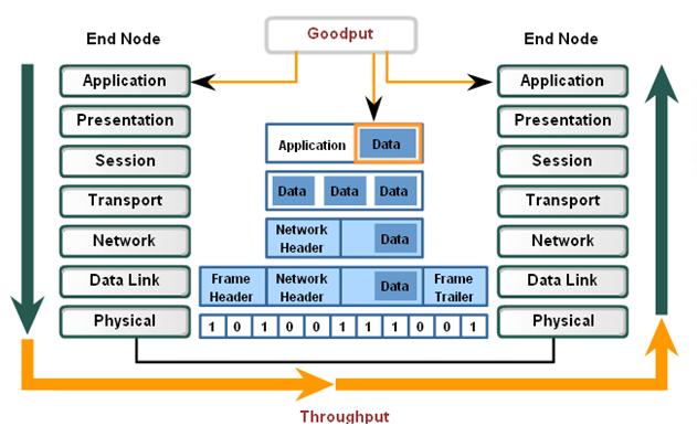 jaringan diaz: Goodput