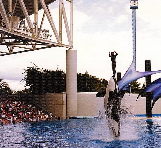 Voice of the Orcas: Food Deprivation at SeaWorld